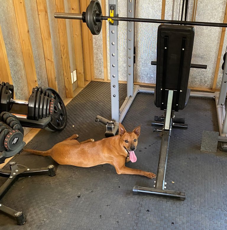 BJJ Strength Training – How to Add Weight Lifting to your Jiu Jitsu ...