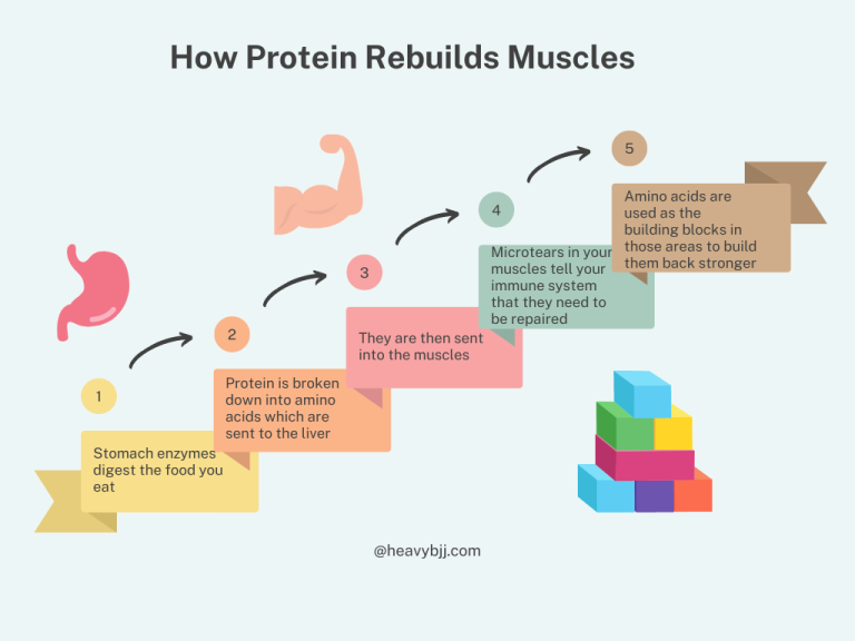 Protein and Muscle Building for BJJ - A Quick Guide for BJJ | 2025