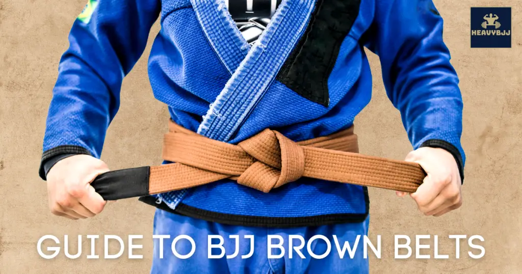 BJJ Brown Belt: What You Should Know For This Belt | 2025