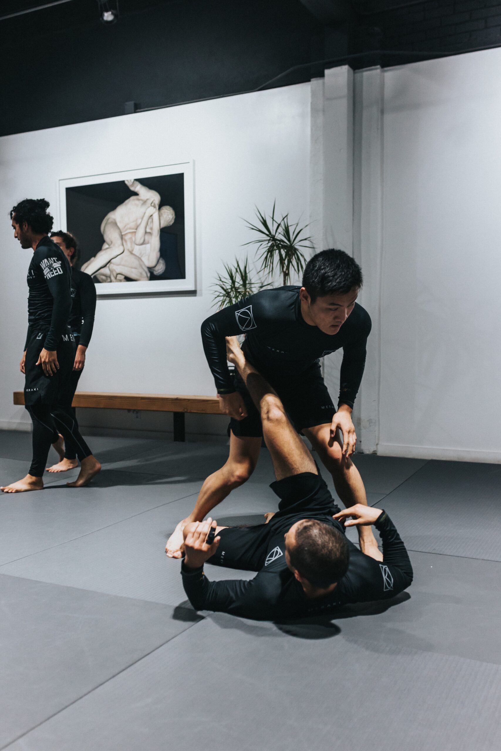 How Many Calories Does Jiu Jitsu Burn? A Quick BJJ Weight Loss Guide ...