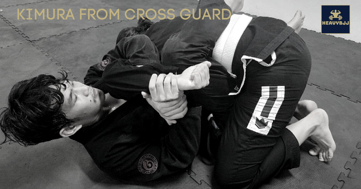 BJJ Purple Belt Requirements and Full Guide – HeavyBJJ