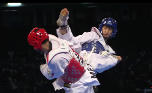 Top 20 Deadliest Martial Arts (Researched and Ranked) | 2025