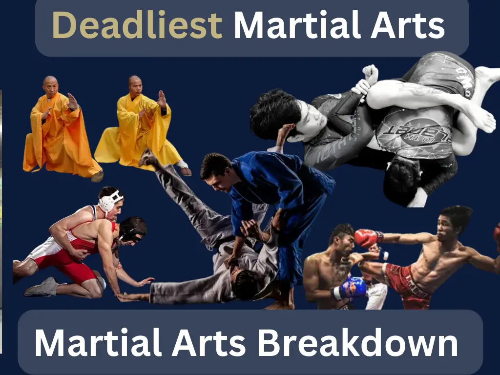 Top 20 Deadliest Martial Arts (Researched and Ranked) – HeavyBJJ