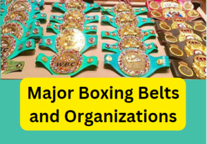 Major Boxing Belts and Organizations (4 Major Boxing Belts Explained ...