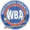 Major Boxing Belts and Organizations (4 Major Boxing Belts Explained ...