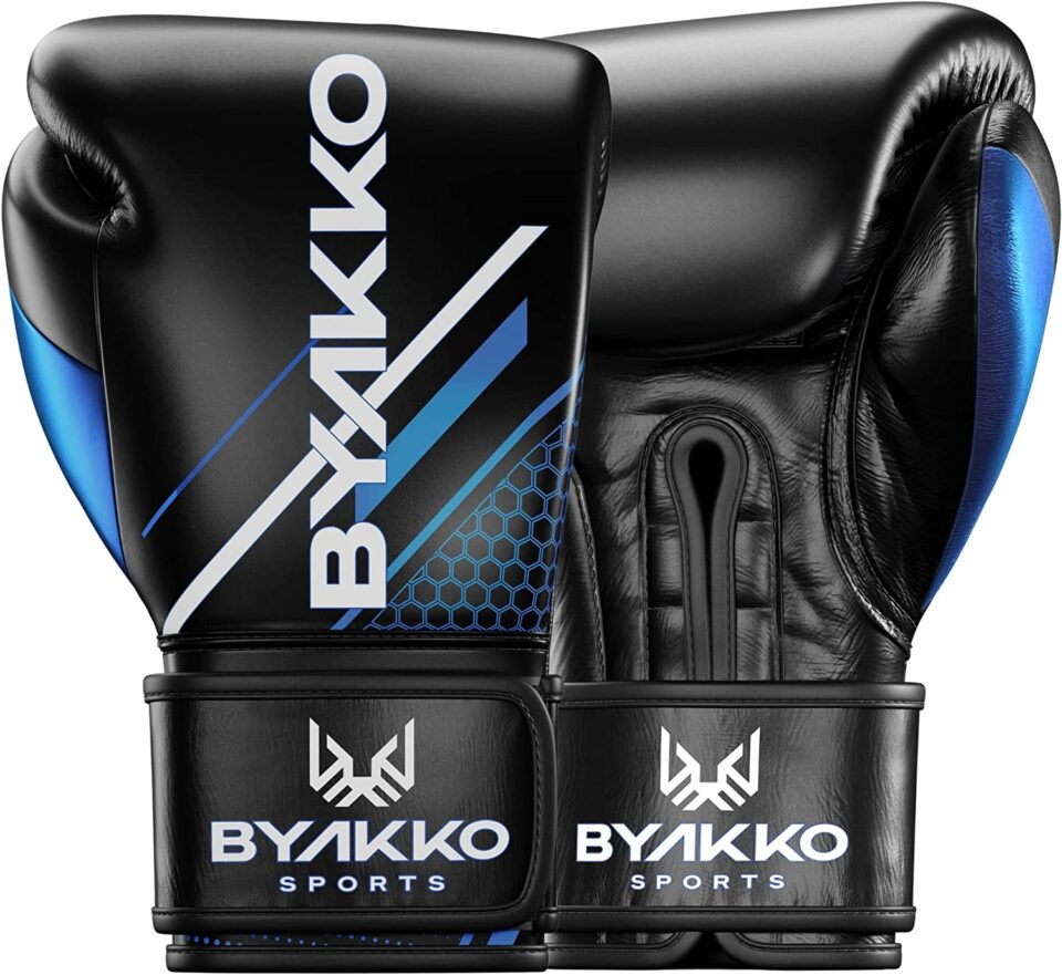Best Boxing Gloves (35+ Boxing Gloves Reviewed for Beginners, Bagwork ...