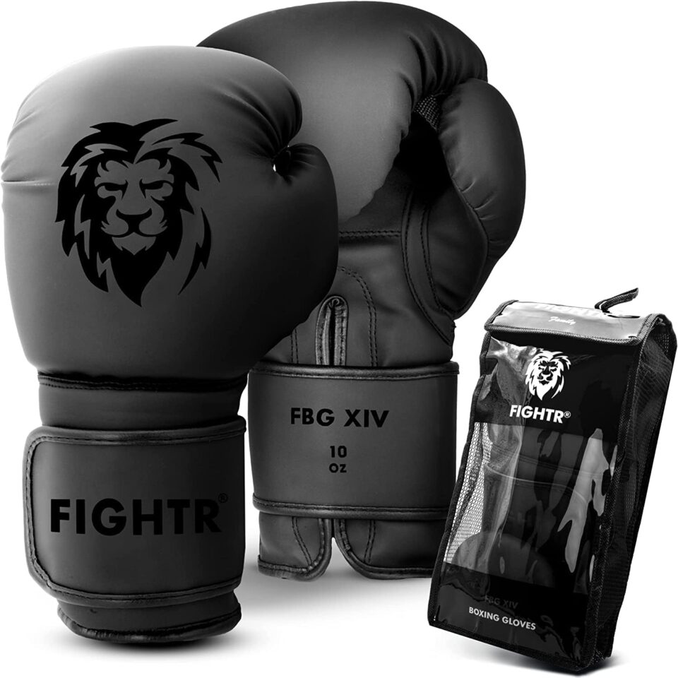 Best Boxing Gloves for Beginners (Ranked with Full Guide) – HeavyBJJ