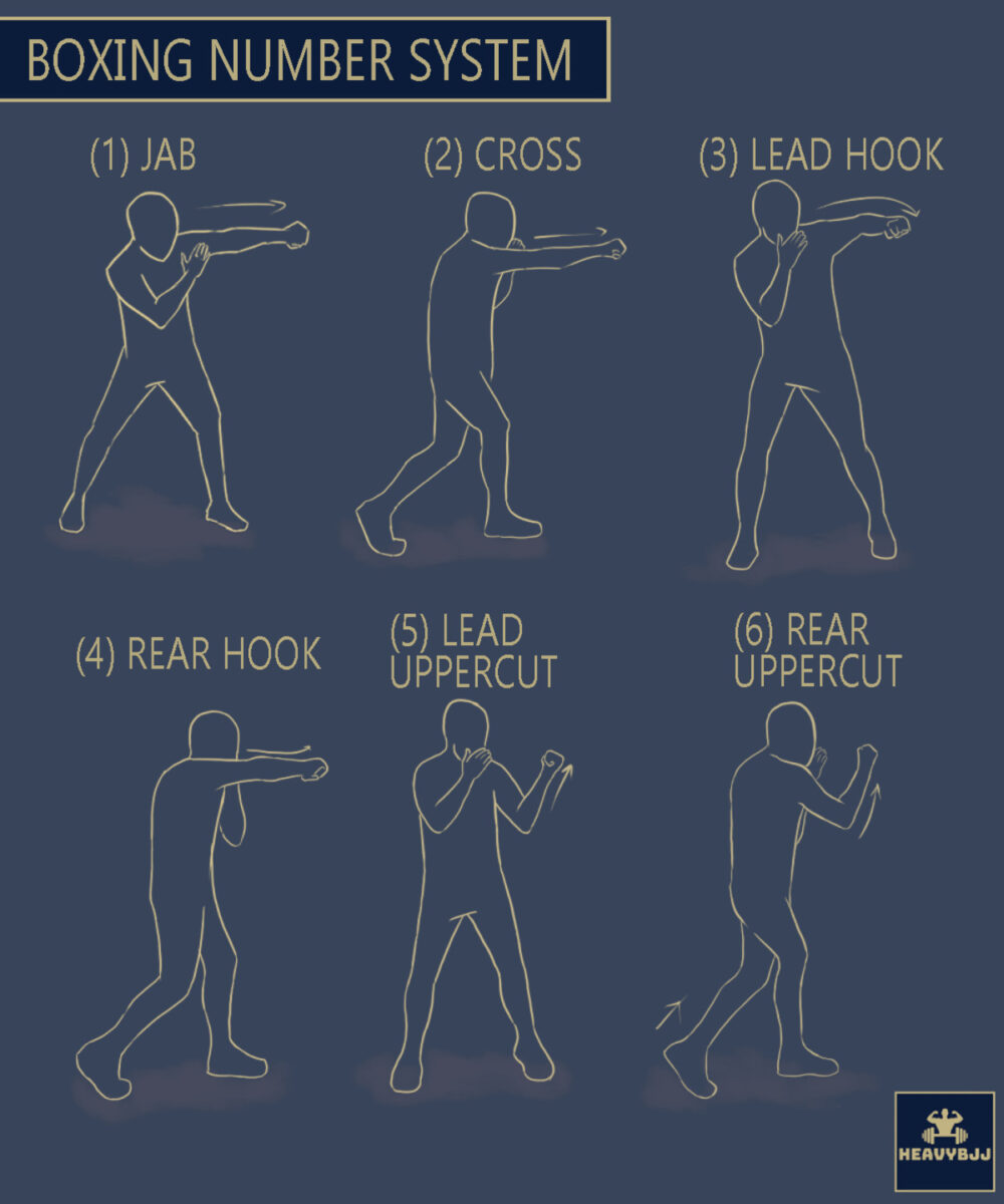 1-6 Basic Types of Boxing Punches (Boxing Number System Explained ...