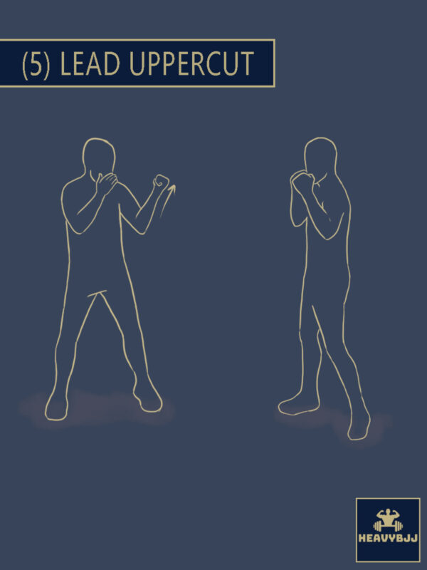 1-6 Basic Types of Boxing Punches (Boxing Number System Explained ...