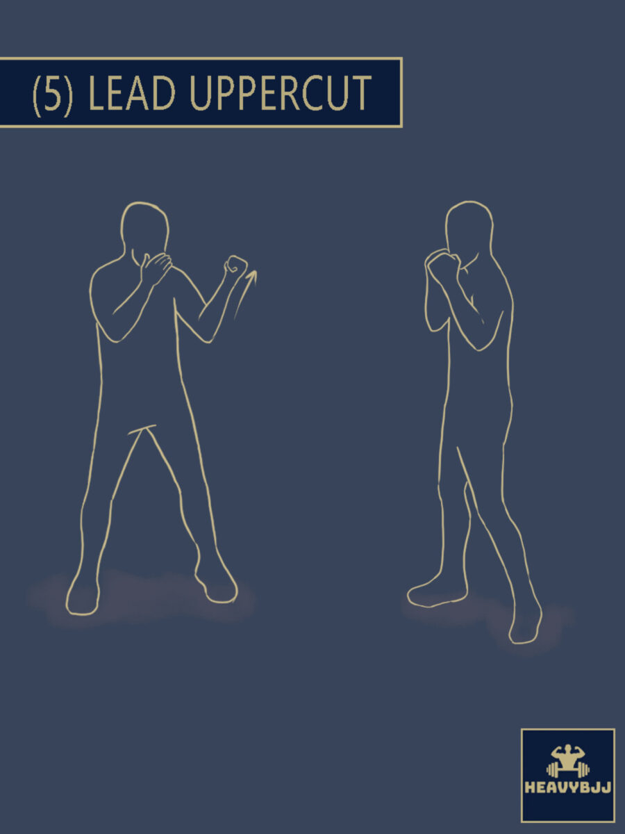1-6 Basic Types of Boxing Punches (Boxing Number System Explained) – HeavyBJJ